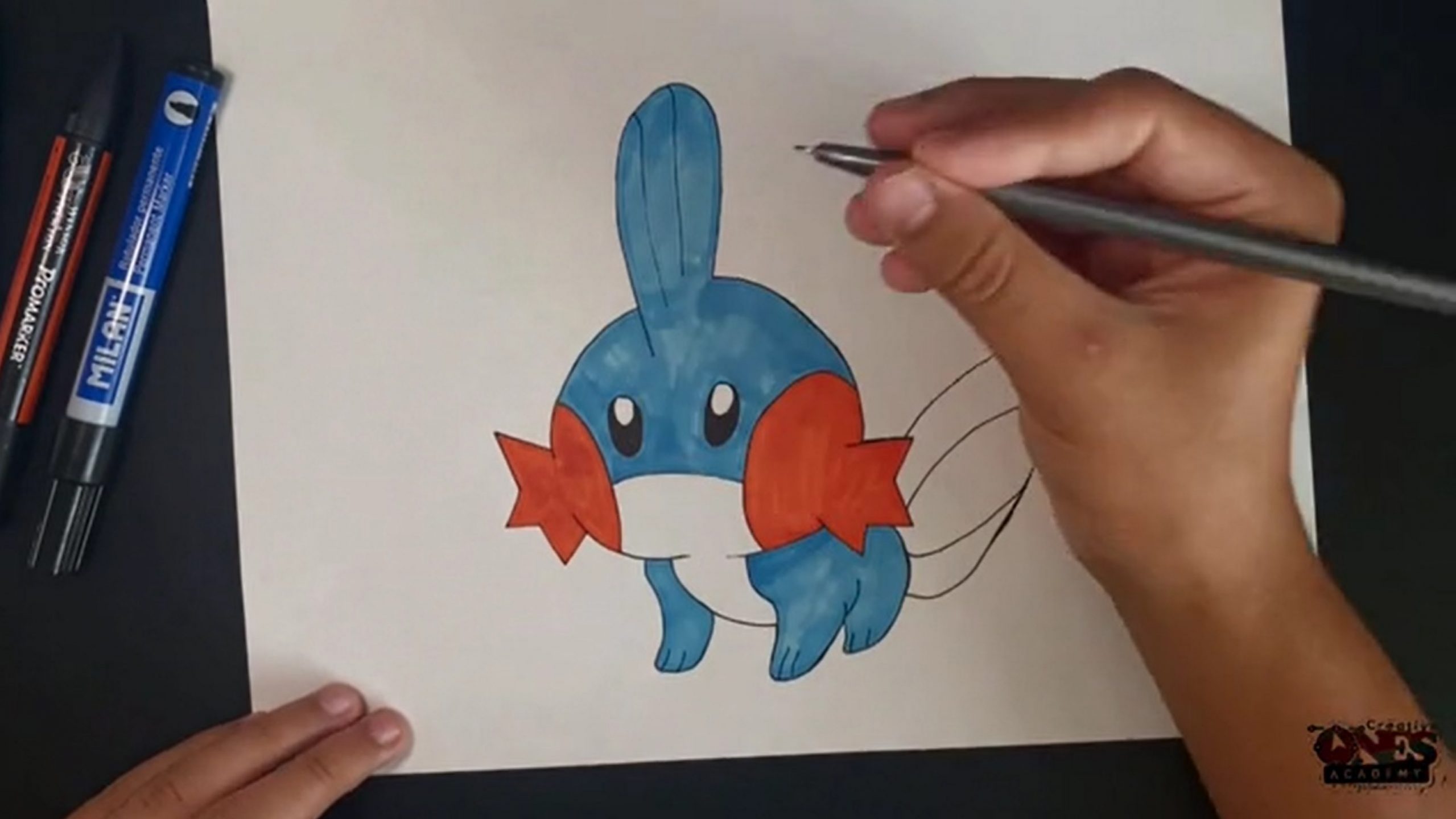 Draw on paper Pokémon Mudkip- Traditional Art on Paper