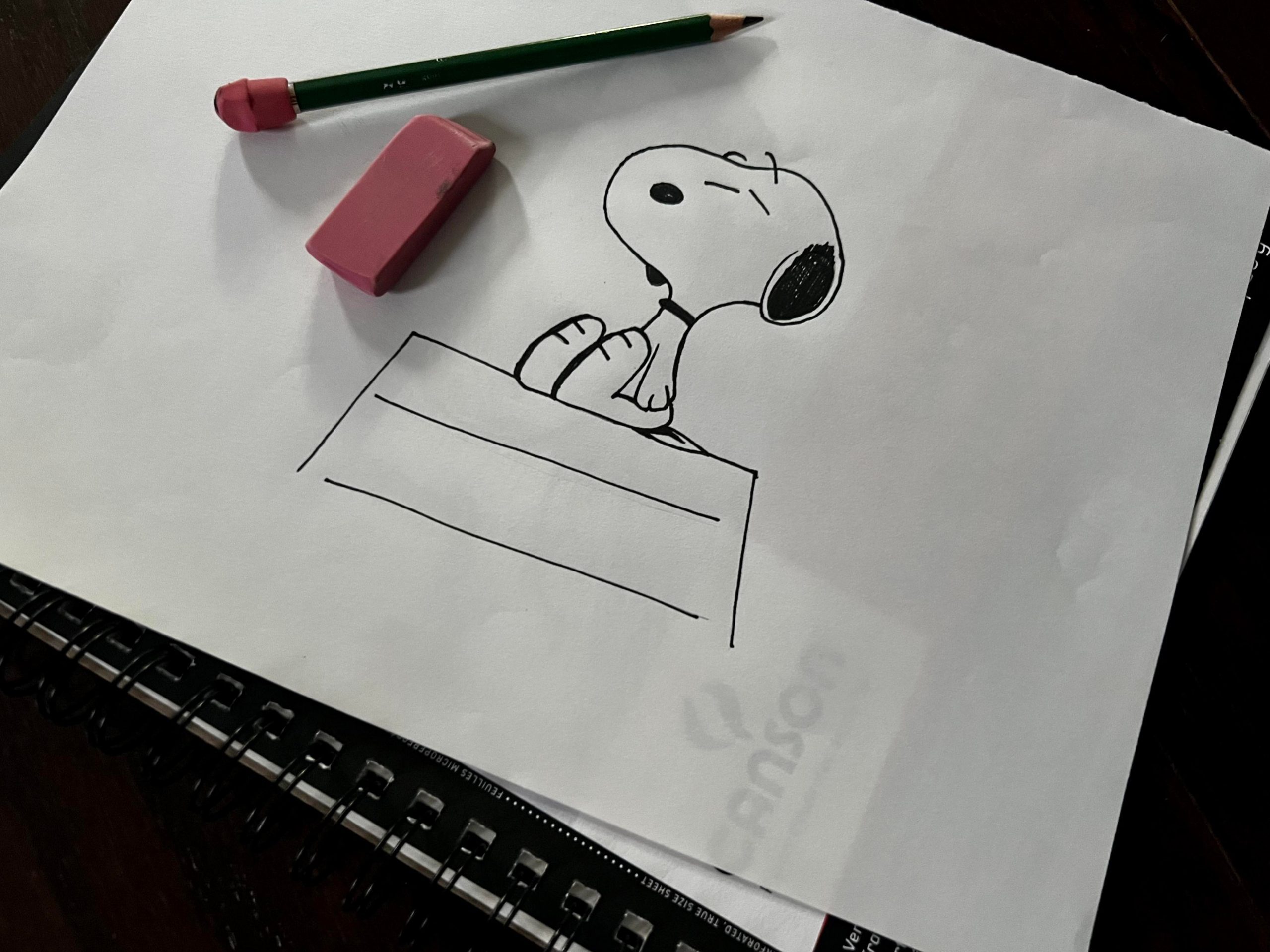 Draw on paper Snoopy - Traditional Art